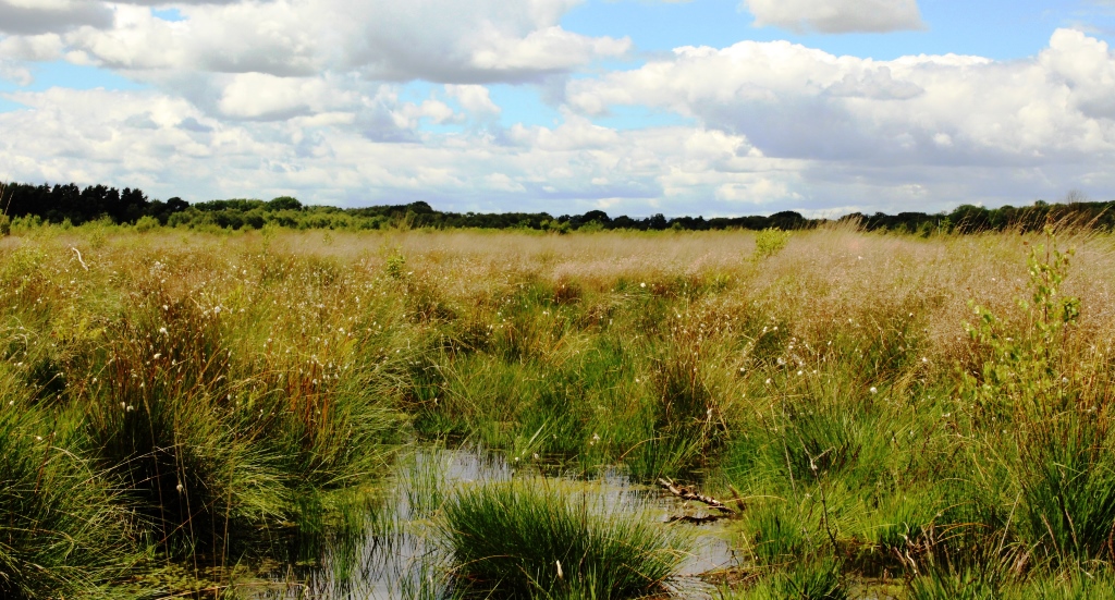 The Meres and Mosses