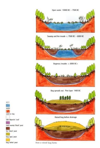 The Meres and Mosses