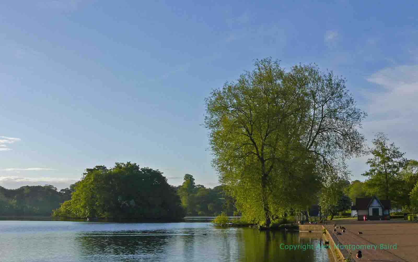 The Meres and Mosses