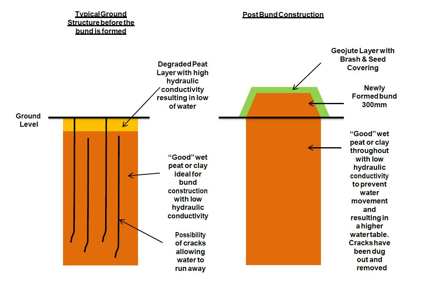 The Meres and Mosses