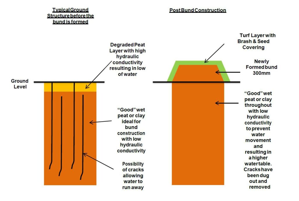 The Meres and Mosses