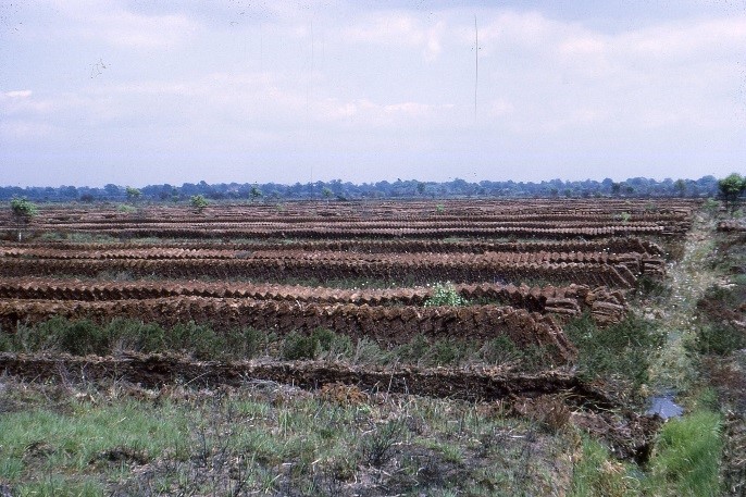 The Meres and Mosses