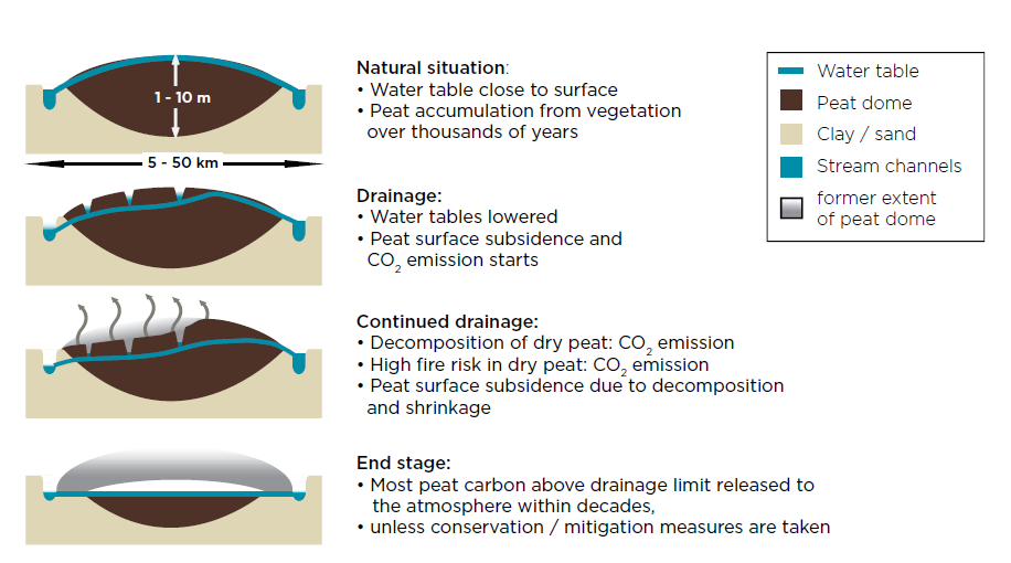 The Meres and Mosses