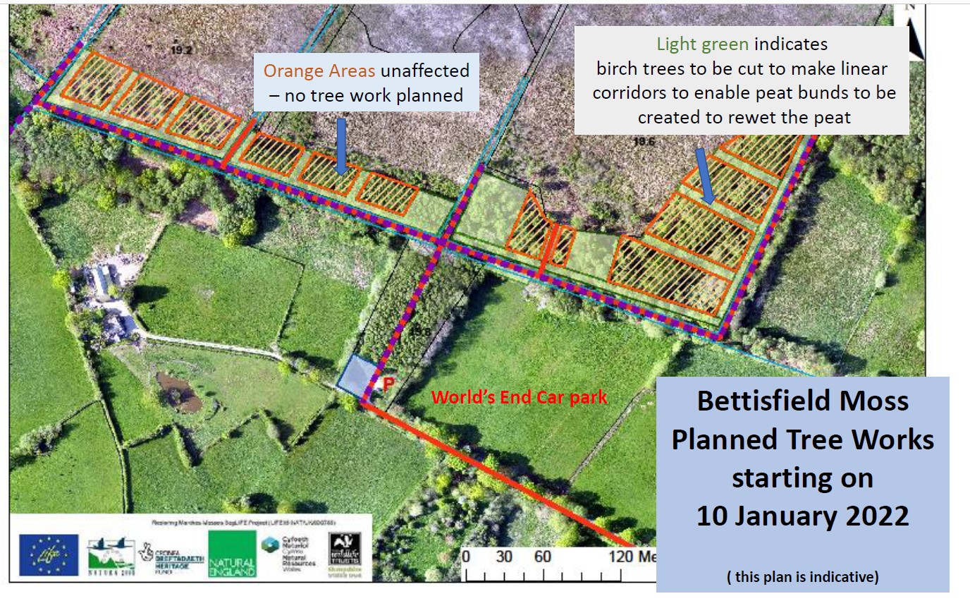 The Meres and Mosses